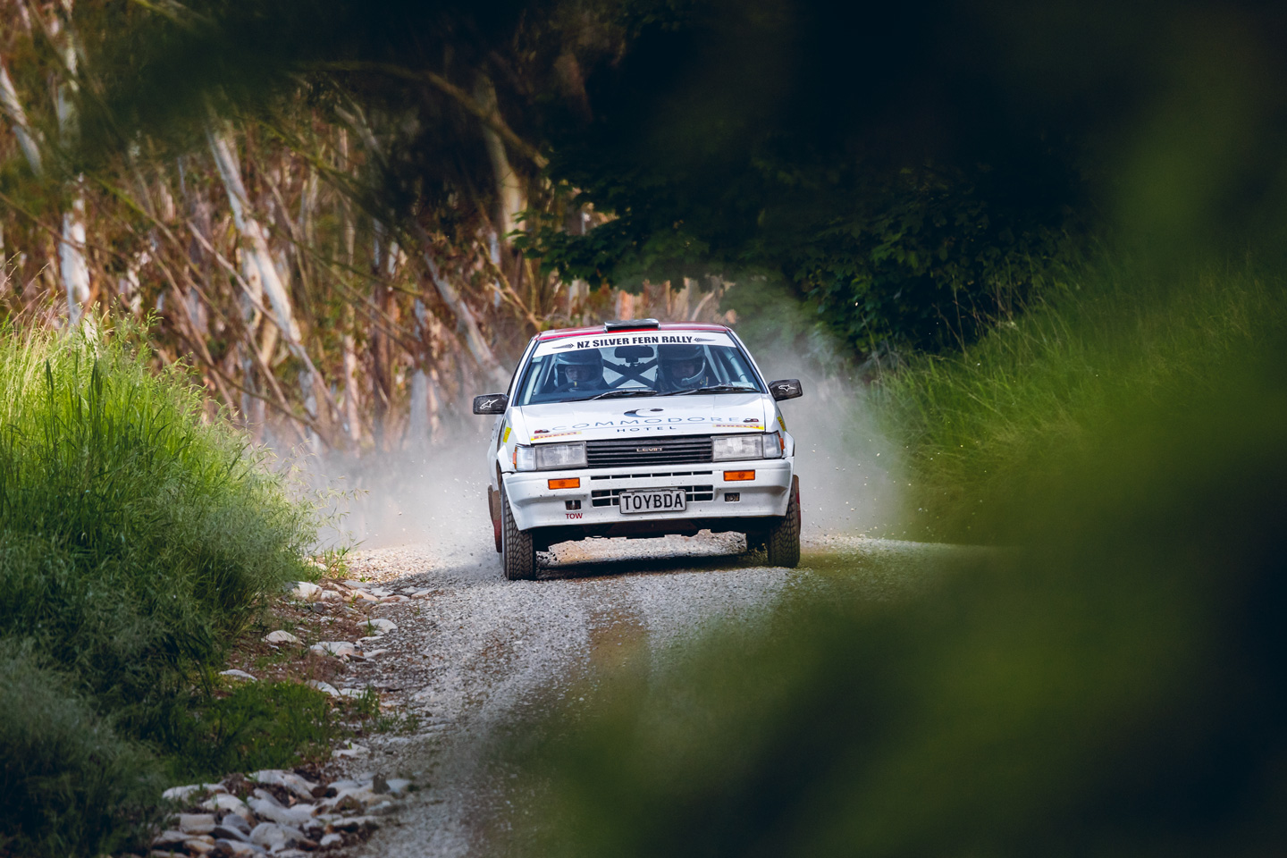 SILVER FERN, PURE RALLY GOLD - Auto Addicts