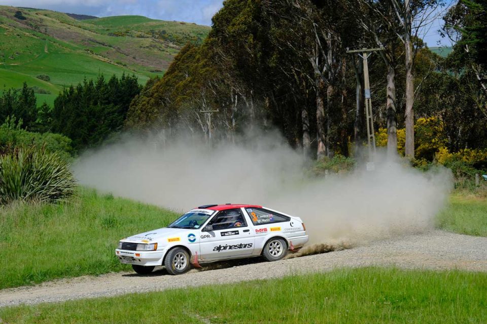 SILVER FERN, PURE RALLY GOLD - Auto Addicts